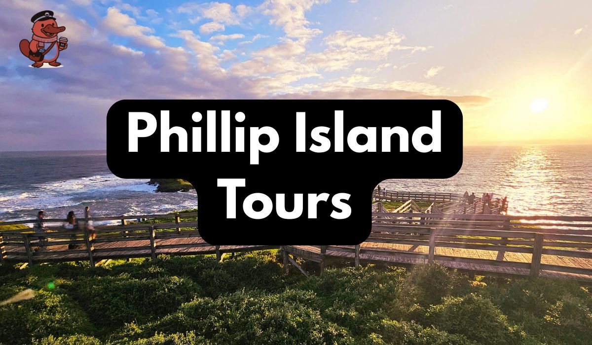 Phillip Island Tours from Melbourne – Top 10 Day Trips